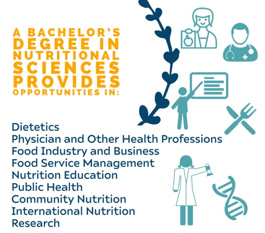 Career Opportunities | Department of Nutritional Sciences