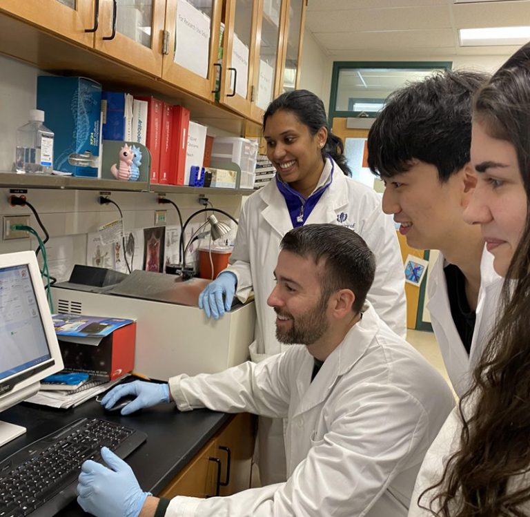 Research | Department of Nutritional Sciences